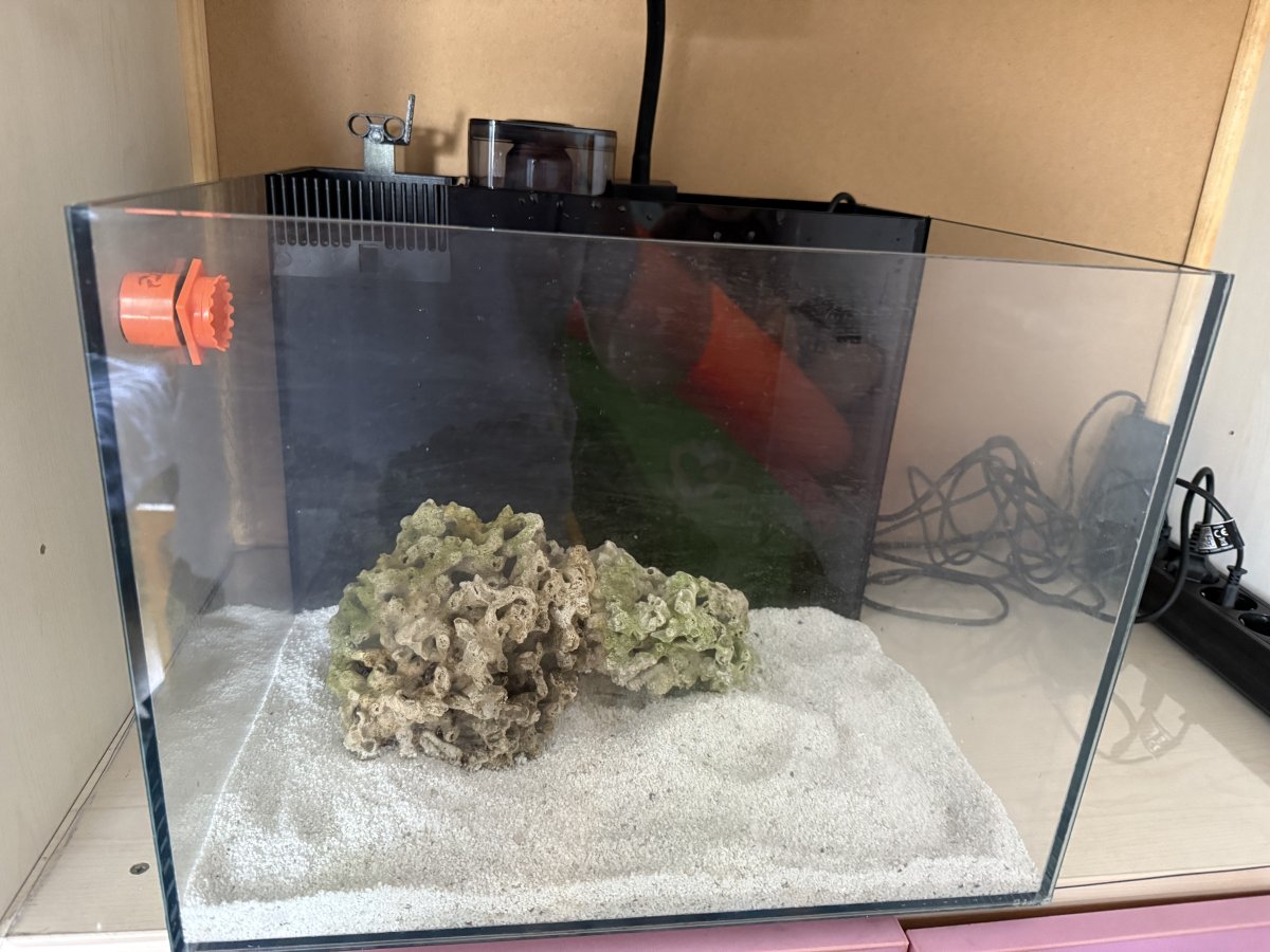 Review my pico tank design | Reef2Reef