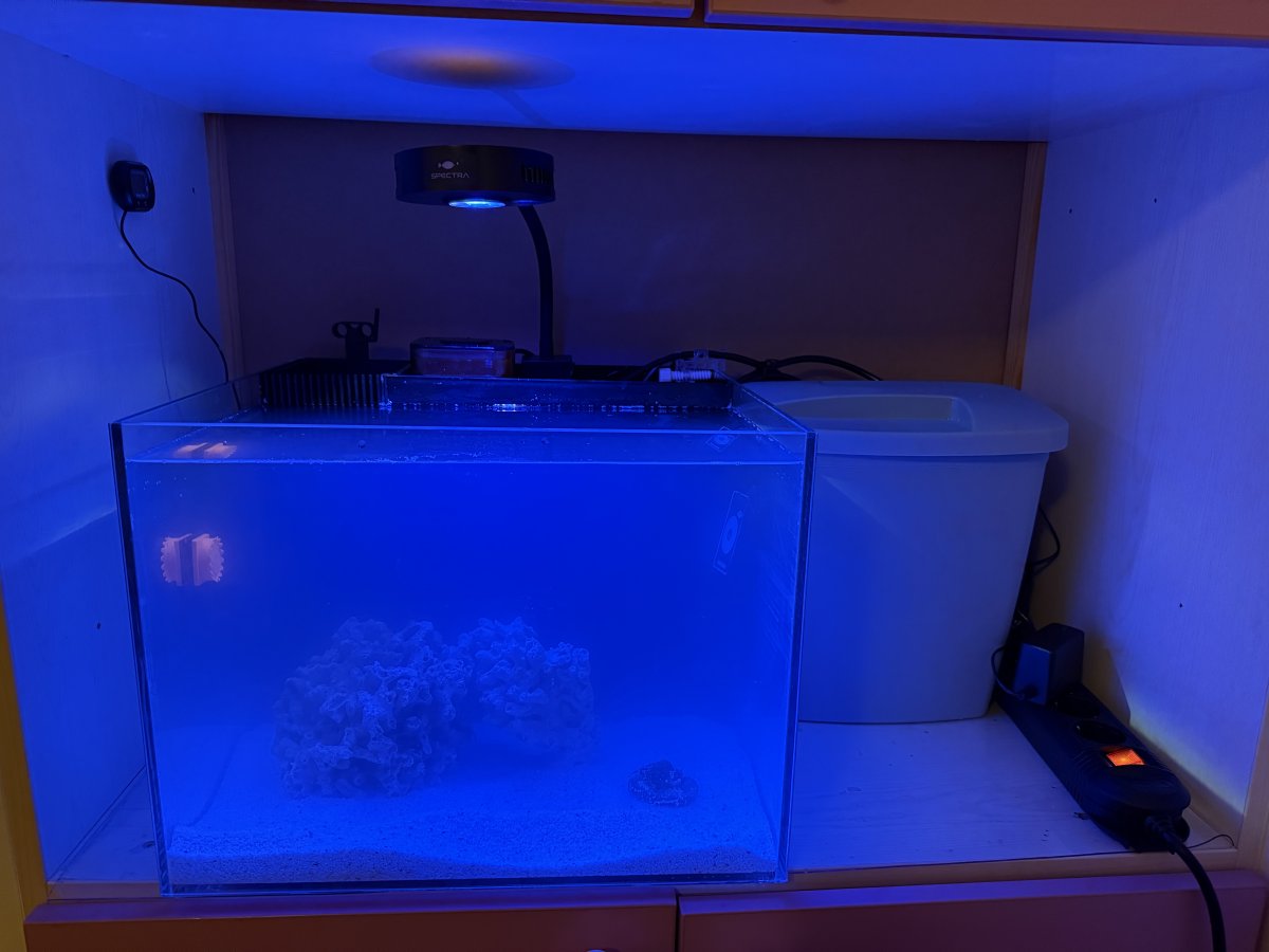 Review my pico tank design | Reef2Reef