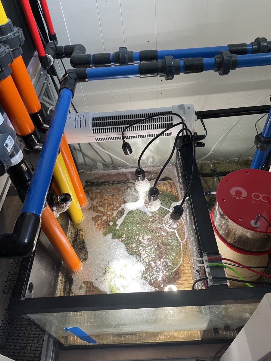 New Limewater Dosing | Reef2Reef