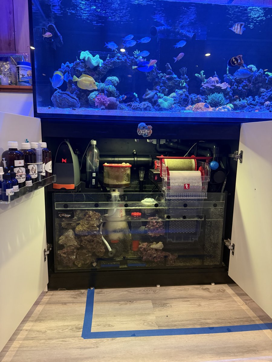 Massachusetts - Aquariums - Dry Goods - RED SEA 525 XL FOR SALE - 1500 ...