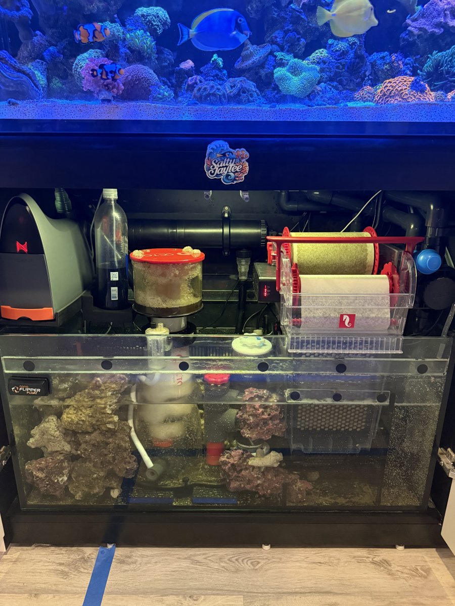 Massachusetts - Aquariums - Dry Goods - RED SEA 525 XL FOR SALE - 1500 ...