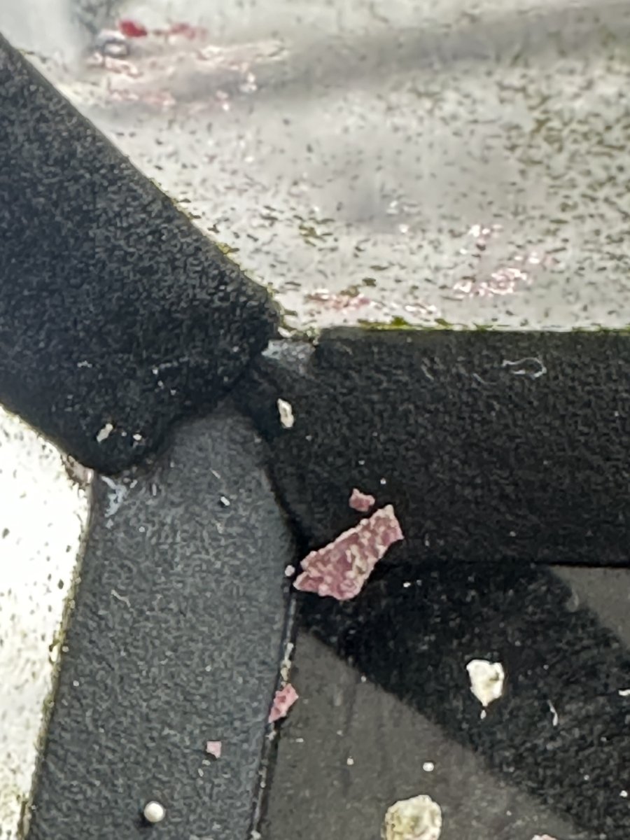 Are these silicone seams normal? | Reef2Reef