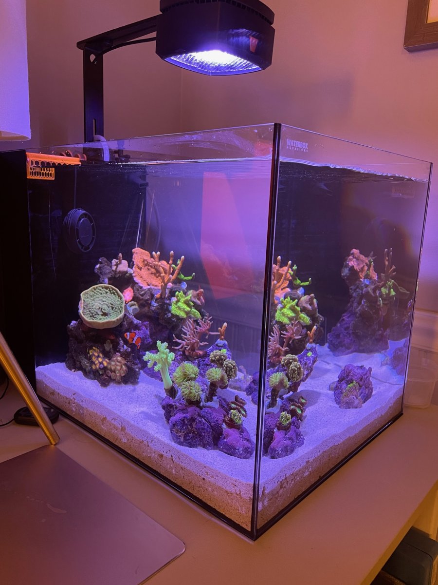 Nano Build - 15G Peninsula Upgraded Desk Reef | Reef2Reef