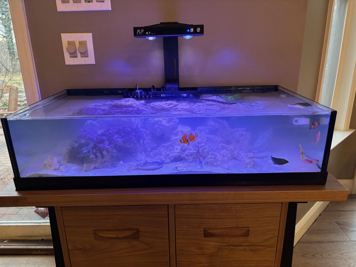 Build Thread - Shallow Reef/Lagoon grow out tank | Reef2Reef