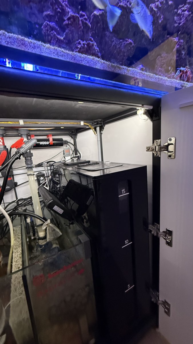 Large Build - Luis’ Waterbox LX 330.7 | Page 3 | Reef2Reef