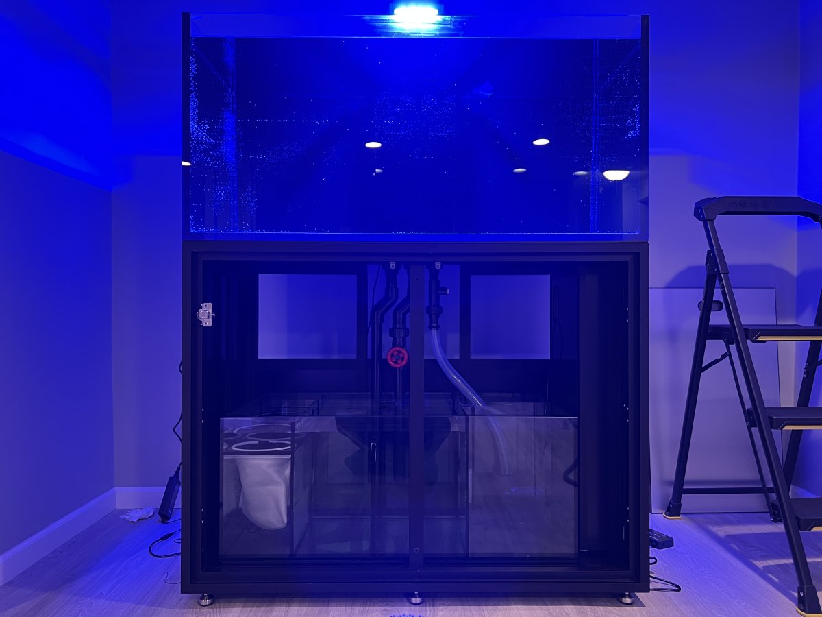 Build Thread - Waterbox Infinia 165.4 - My First Large Tank | Reef2Reef