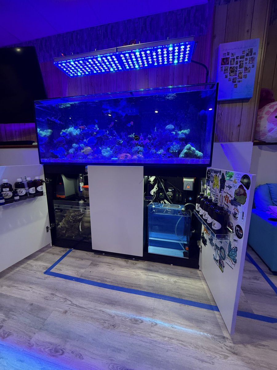 Has anyone ever pushed a semi full tank? | Reef2Reef