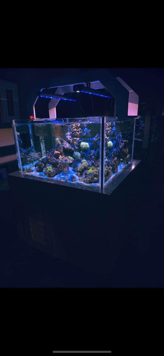 should i get a walk around tank? | Reef2Reef