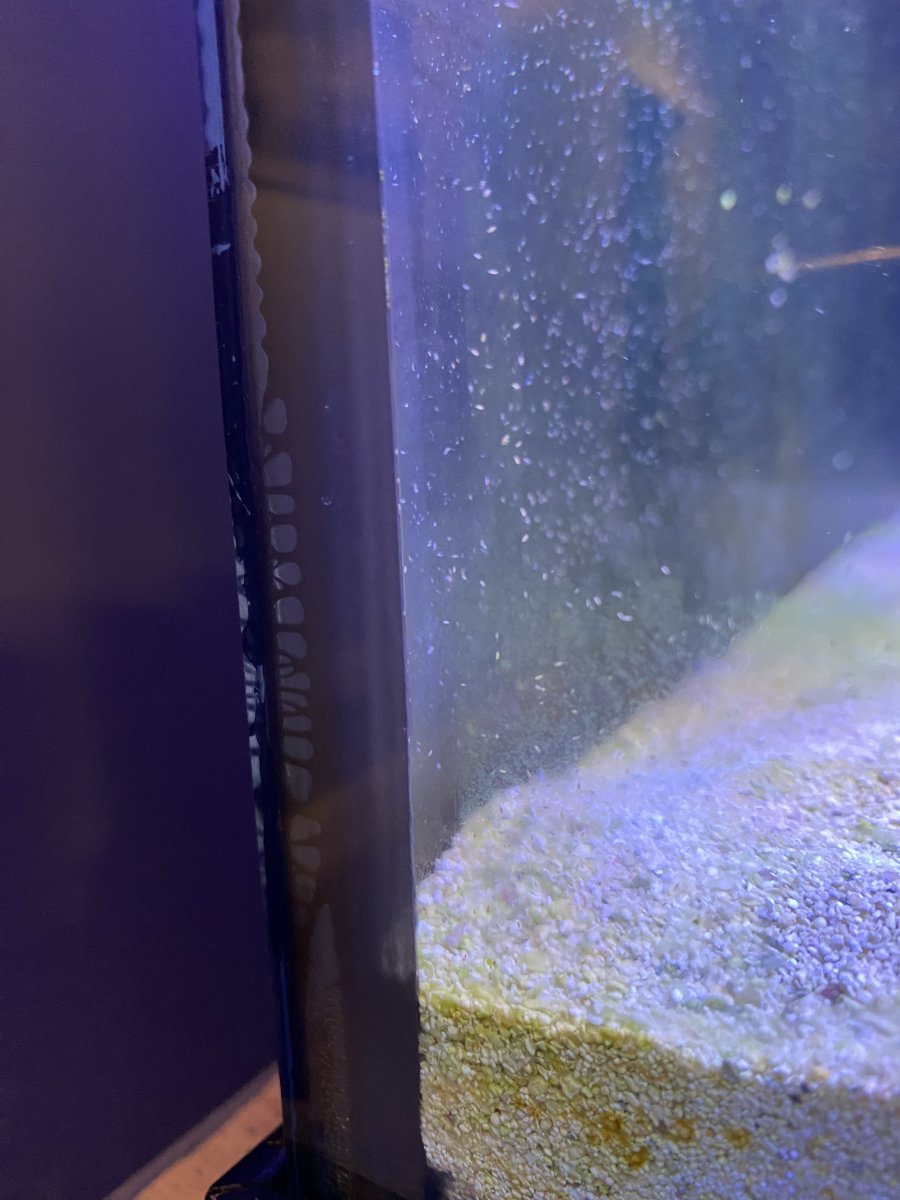 Rimmed tank seam problem??? | Reef2Reef
