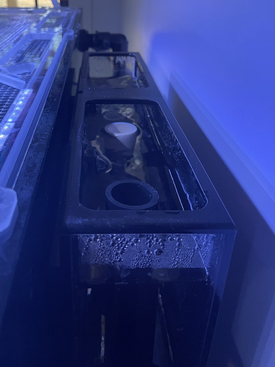 Calling All Planet Aquarium External Overflow Owners | Reef2Reef