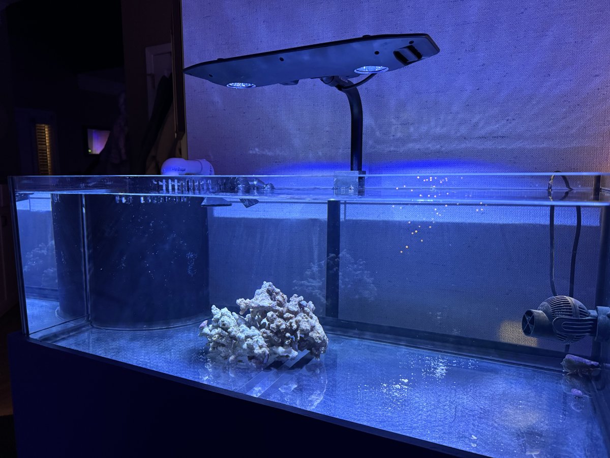 Looking for ceramic tiles for frag tank that won’t leach anything ...