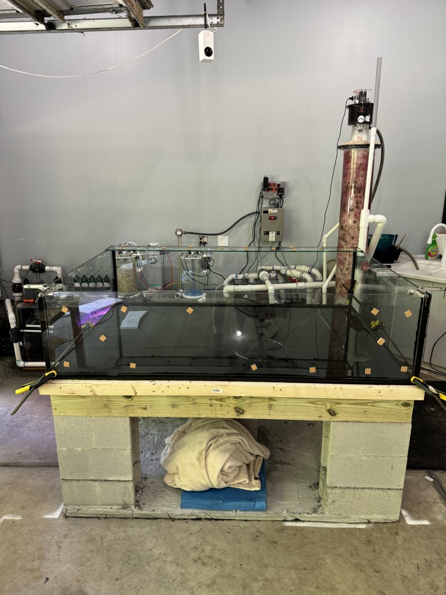 Custom building my "New Frag System" picked up my glass yesterday ...