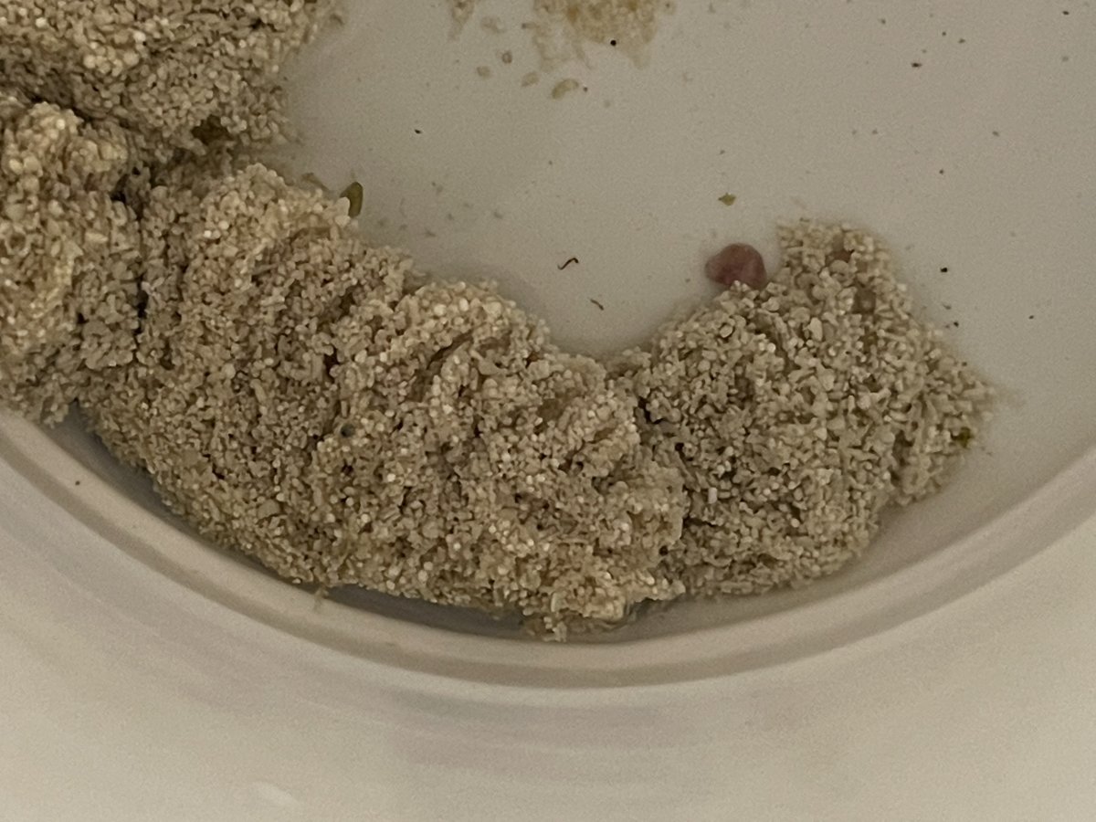 What’s this in my sand bed | Reef2Reef