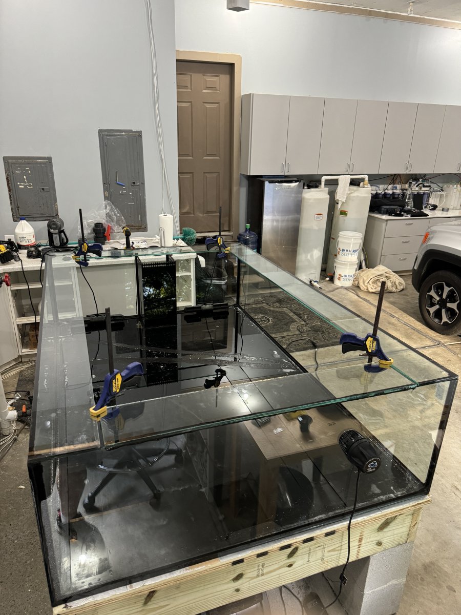 Custom building my "New Frag System" picked up my glass yesterday ...