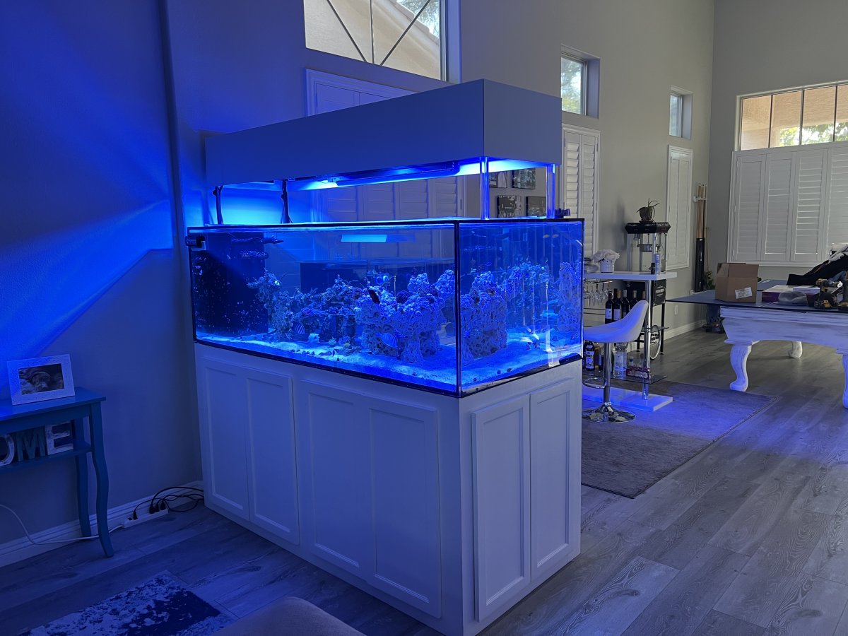 official Glass cages show off thread... | Page 2 | Reef2Reef