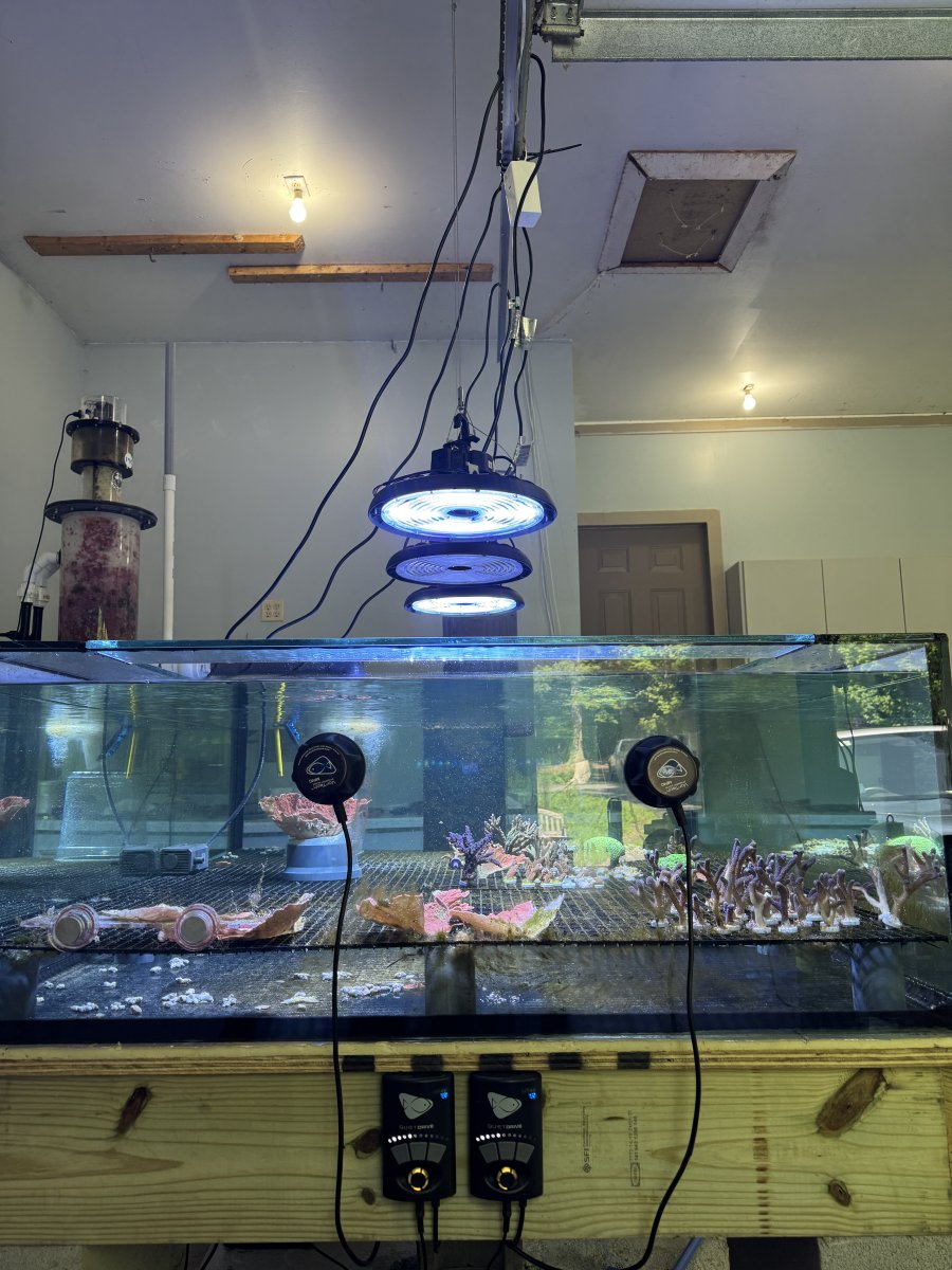 Custom building my "New Frag System" picked up my glass yesterday ...