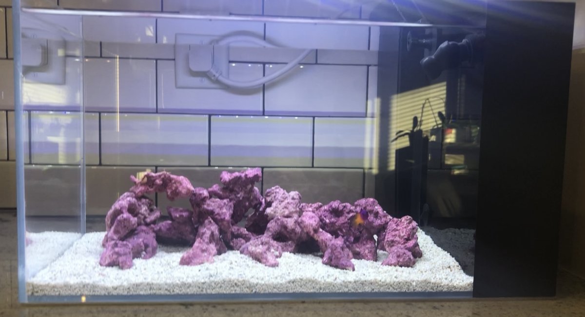 140 G Reef-Ready, Fully Loaded, Neptune Apex Automated, Complete ...