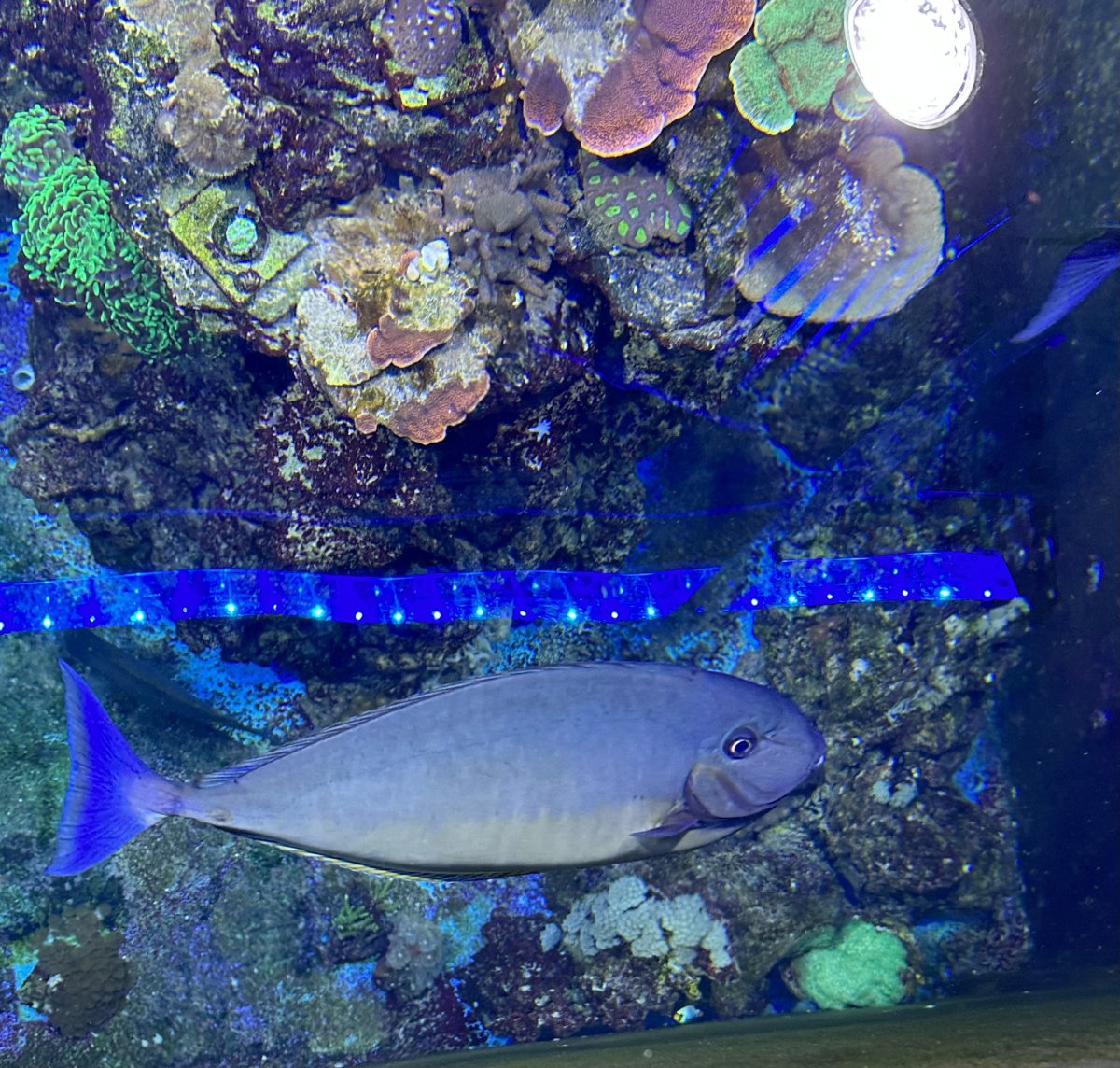 Monster Build - DIY Concrete Aquarium 5,000 gallon - Anderson Family ...