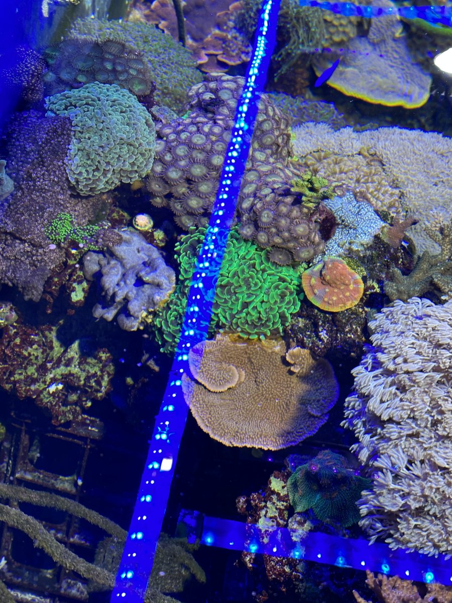 Monster Build - DIY Concrete Aquarium 5,000 gallon - Anderson Family ...