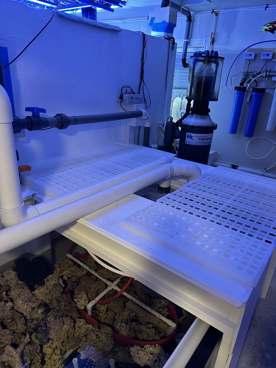 Monster Build - DIY Concrete Aquarium 5,000 gallon - Anderson Family ...