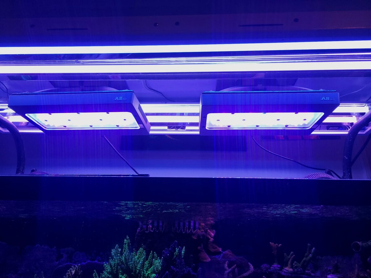 AliExpress A8SE Reef Light | Page 99 | Reef2Reef