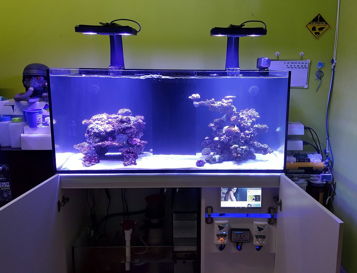 Show Off and Discuss Your Red Sea Reefer Series | Page 29 | Reef2Reef