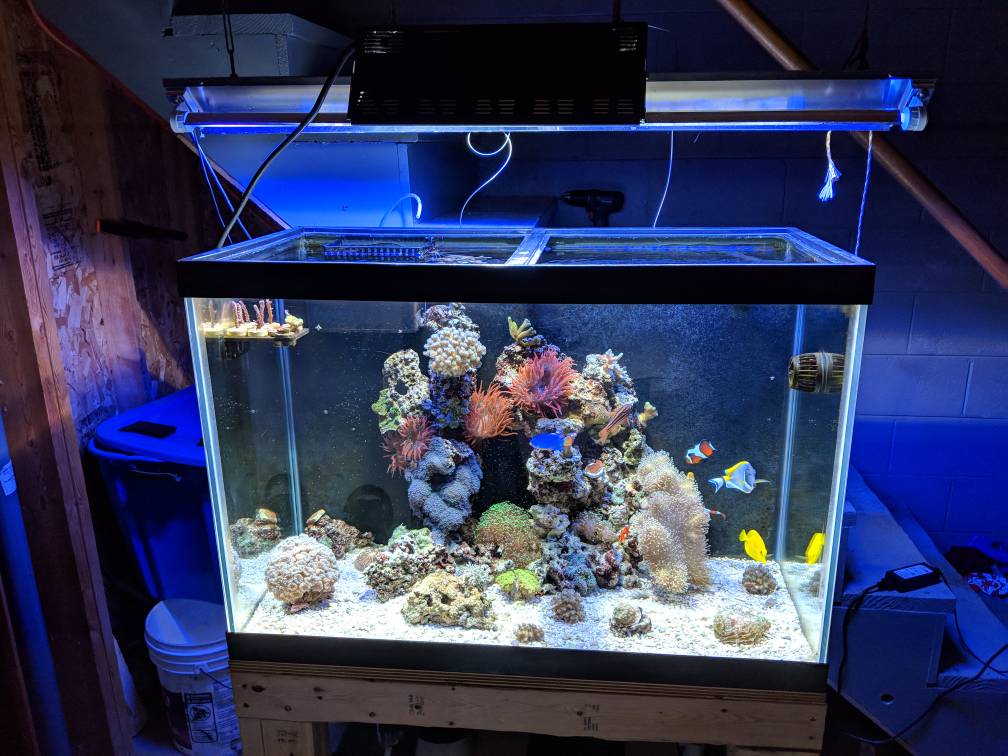 reef-pi :: An opensource reef tank controller based on Raspberry Pi ...