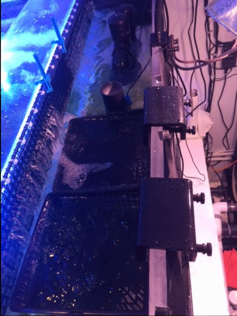 Machine cut tank wall to external overflow box | Reef2Reef