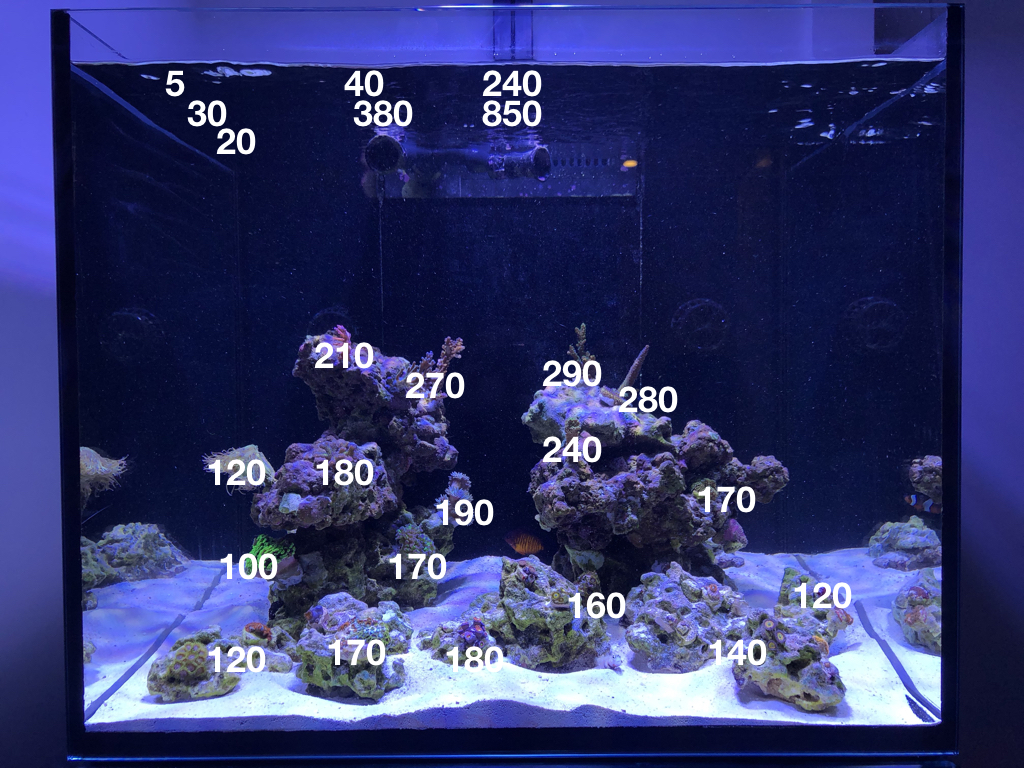 Please help my mediocre reef tank | Page 4 | Reef2Reef