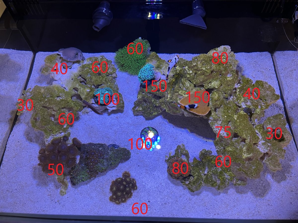 Build Thread - Fishy's first reef tank - IM 25 Lagoon | Page 8 | Reef2Reef