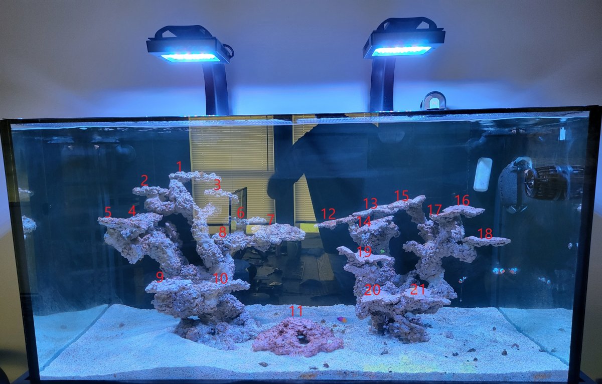 Build Thread - Not My First Tank but My First Build Thread | Page 2 ...
