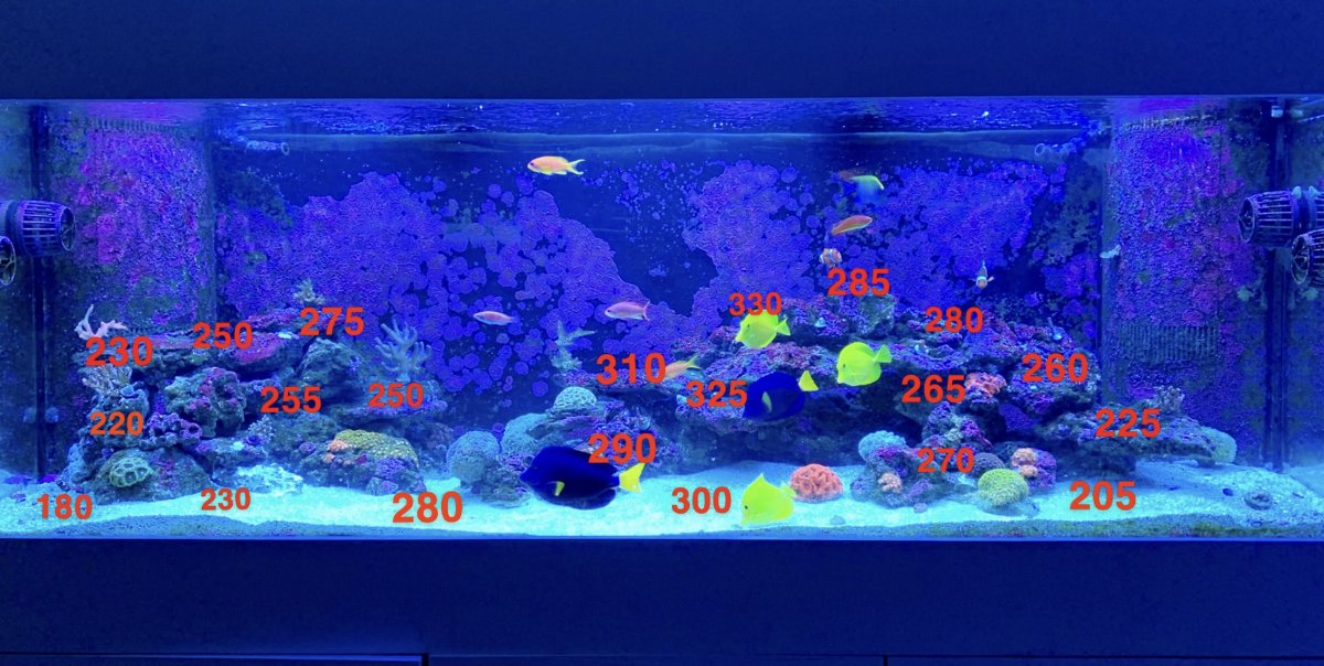 9 Months & Major Drop in Par | Reef2Reef