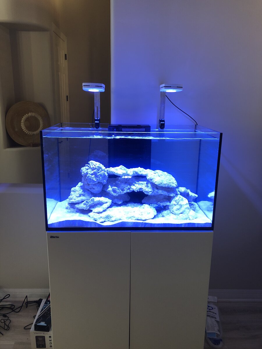 Large Build - Desert Reef - 180g Reefer-S 850 G2 | Reef2Reef