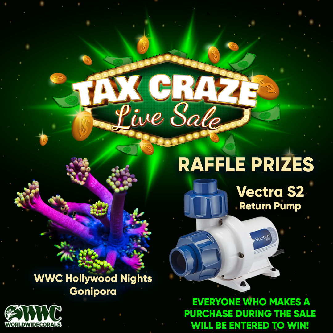 Tax Craze Live Sale 2026 | Reef2Reef