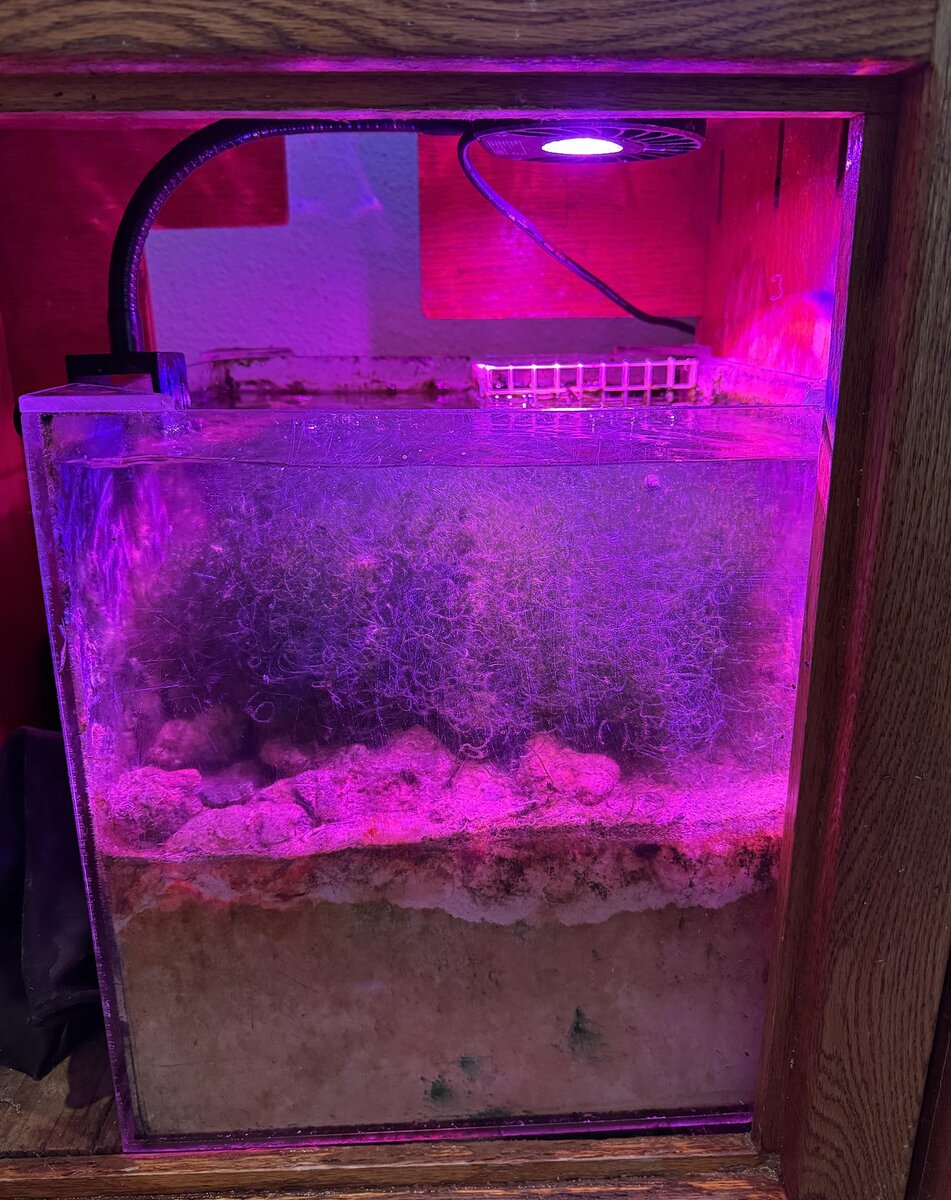 Build Thread - My 27 year reef tank journey | Reef2Reef