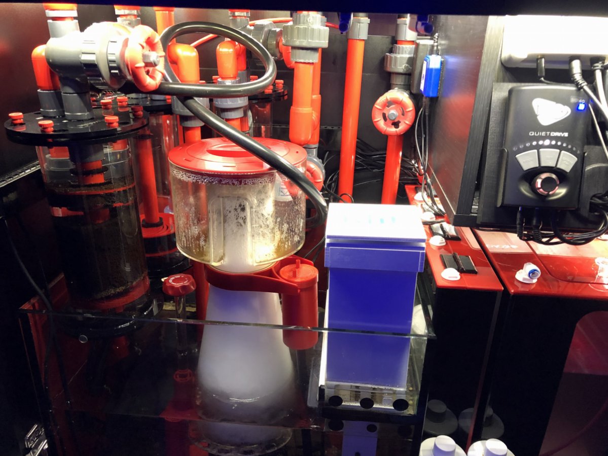 Are protein skimmers really that important? | Reef2Reef