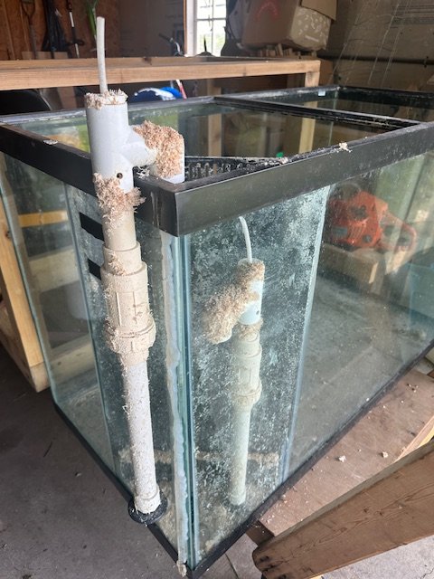 Aquarium ID Help | Reef2Reef