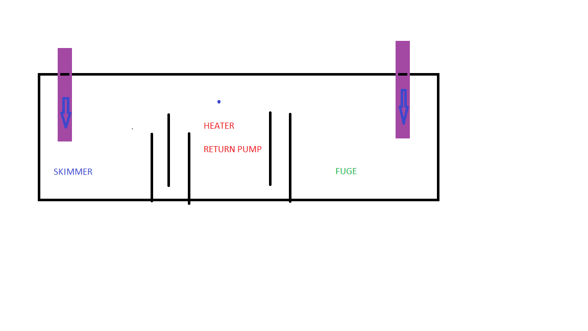 40 gal sump and dual overflows | Reef2Reef
