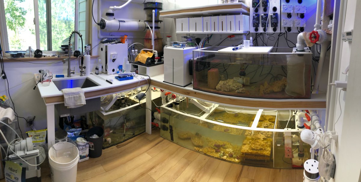 QUESTION OF THE DAY - DIY vs. Commercial: What type of sump is under ...