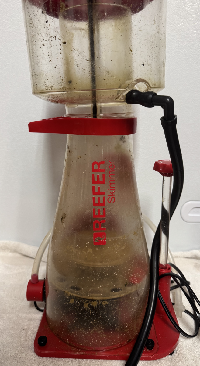 Florida - Dry Goods - Red Sea and BK Skimmer | Reef2Reef