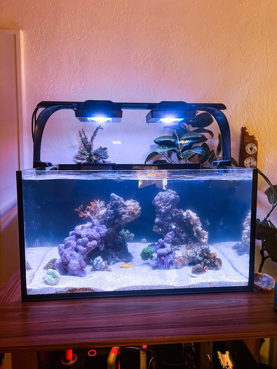 Build Thread - Innovative Marine 50 EXT Custom Bar Build | Reef2Reef