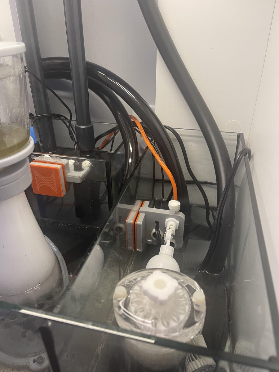 Cube Build - WaterBox Marine X 60.2 | Page 4 | Reef2Reef