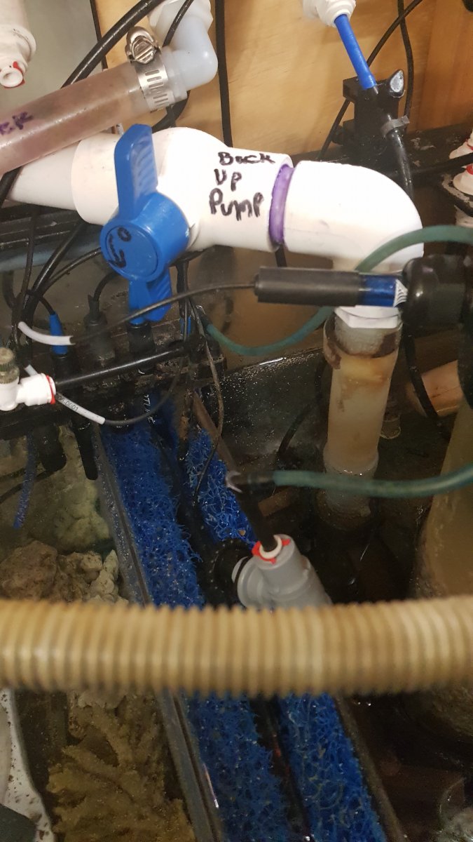 Plumbing Guidance | Reef2Reef