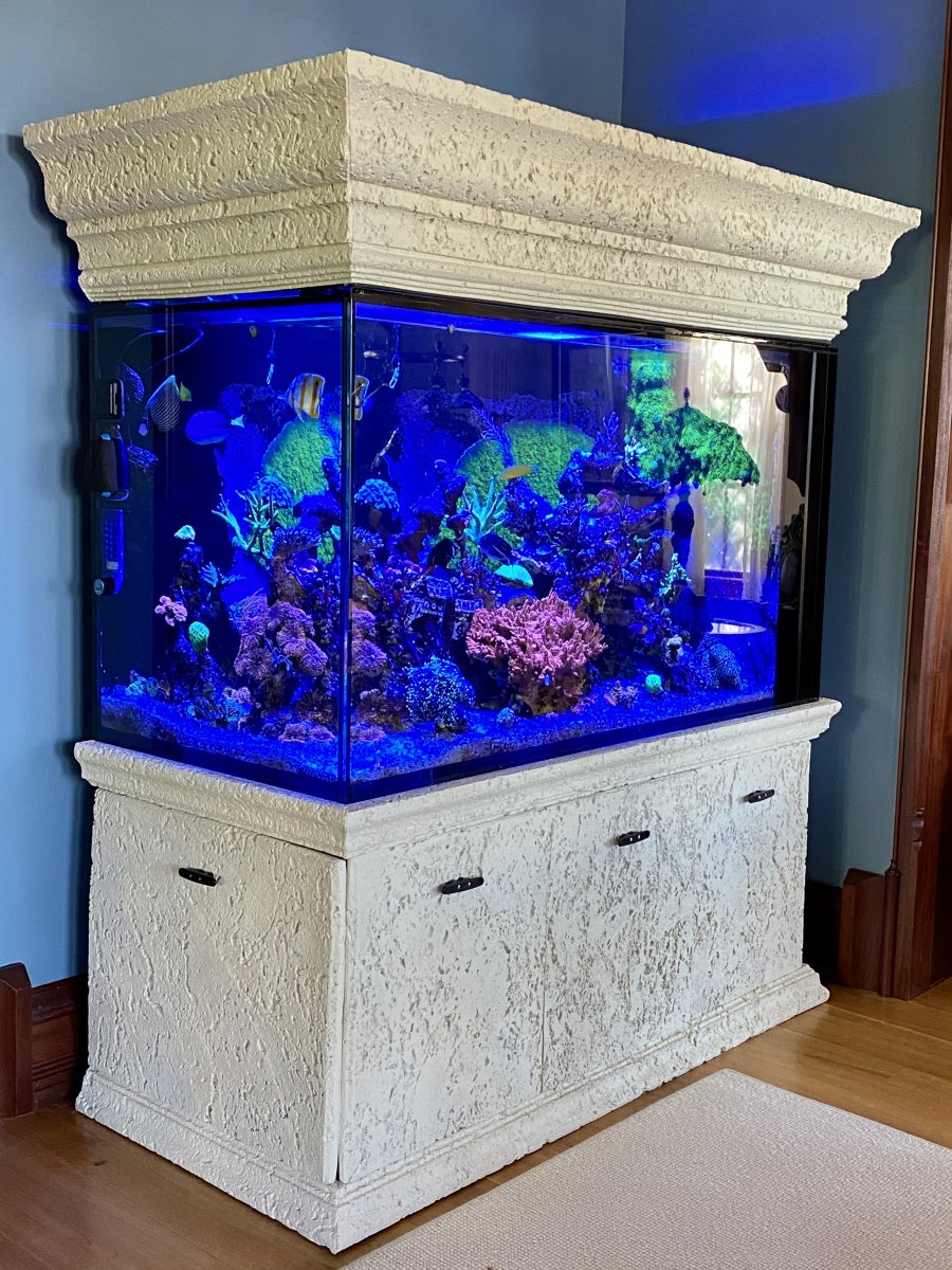 QUESTION OF THE DAY - Brand recognition on the reef: Do you focus on ...