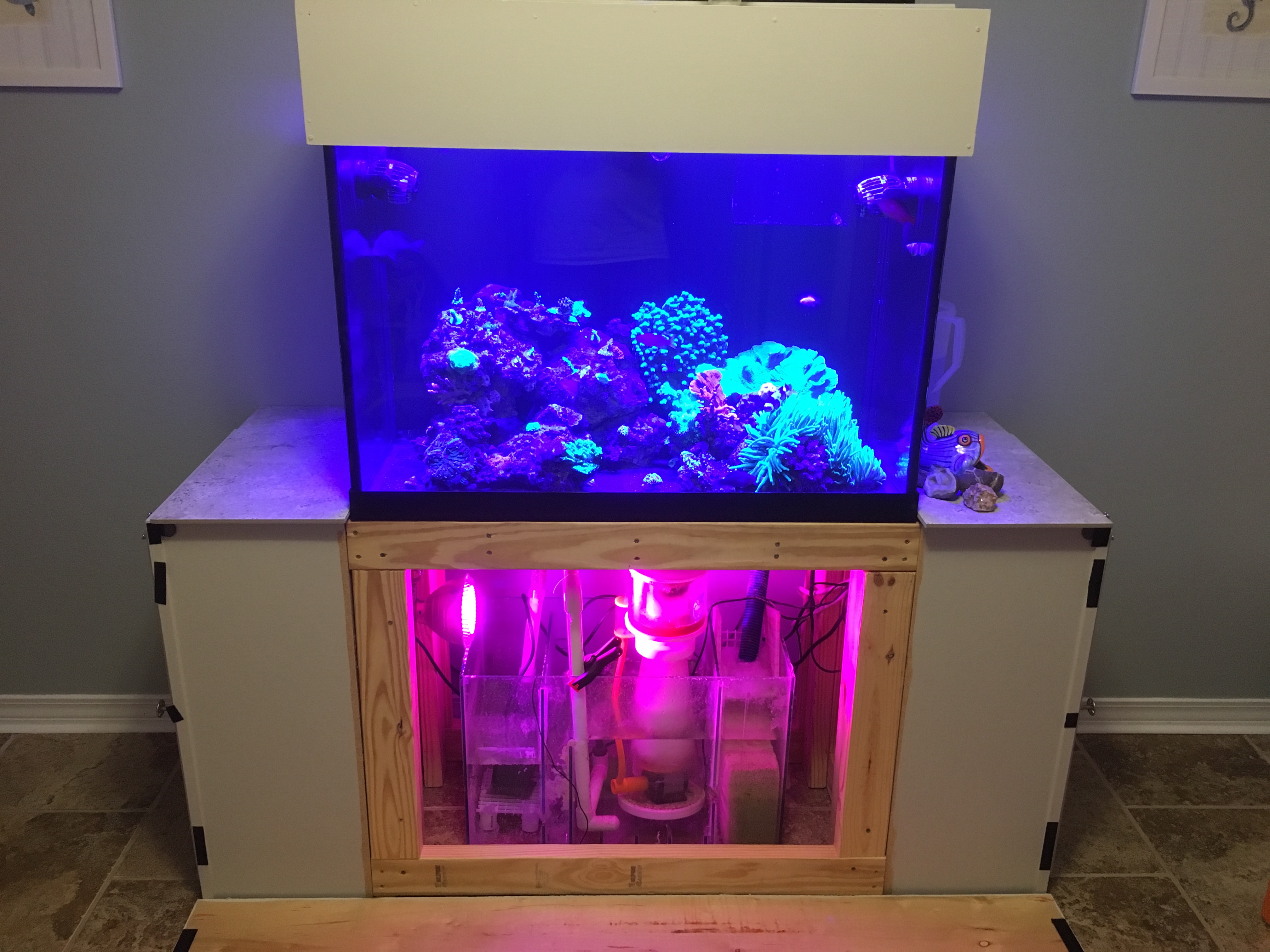Show Off Your Custom Wood Canopies and Stands | Page 16 | Reef2Reef