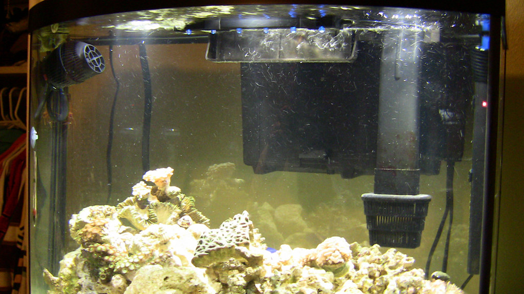 Pennsylvania - SMALL WAVEMAKER FOR NANO TANK | REEF2REEF Saltwater and ...