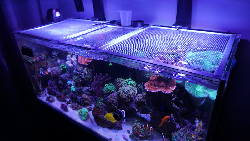 DIY Screen Net Tops: Tips, Tricks, and Pics! | Reef2Reef